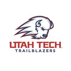 Corporate Partnerships Internship (Utah | Stadium Scene Jobs Board